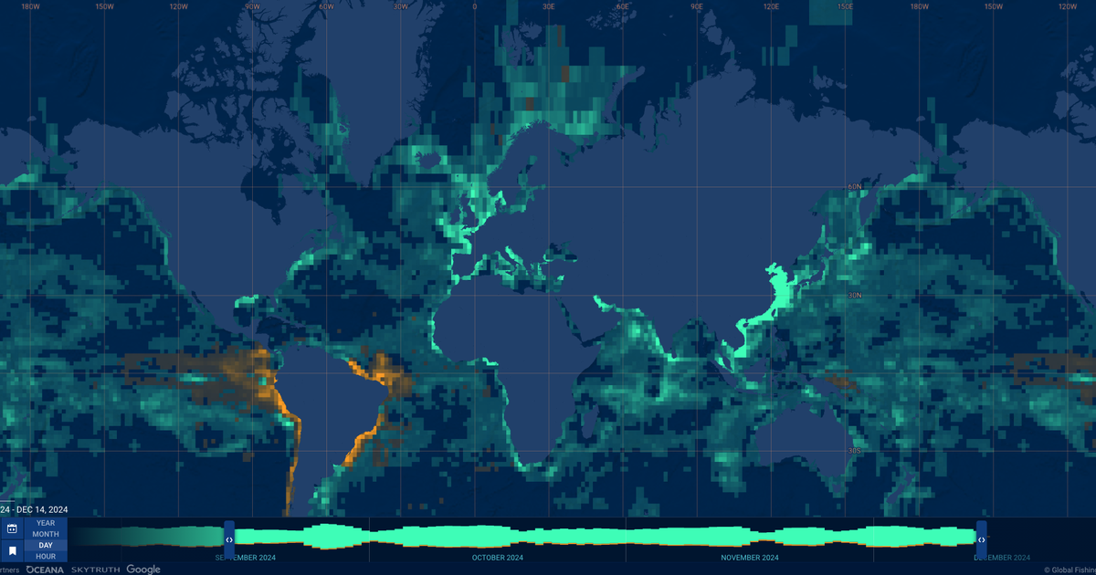 Embedding data ethics at Global Fishing Watch | The ODI